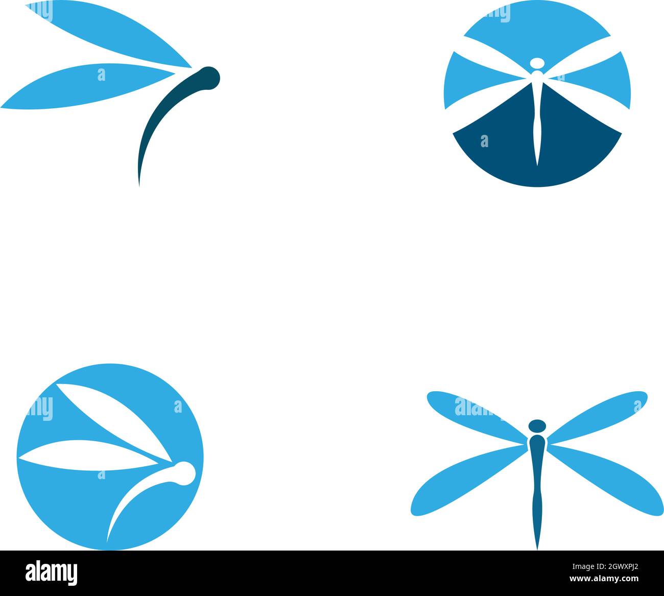 Dragonfly logo vector template Stock Vector Image & Art - Alamy