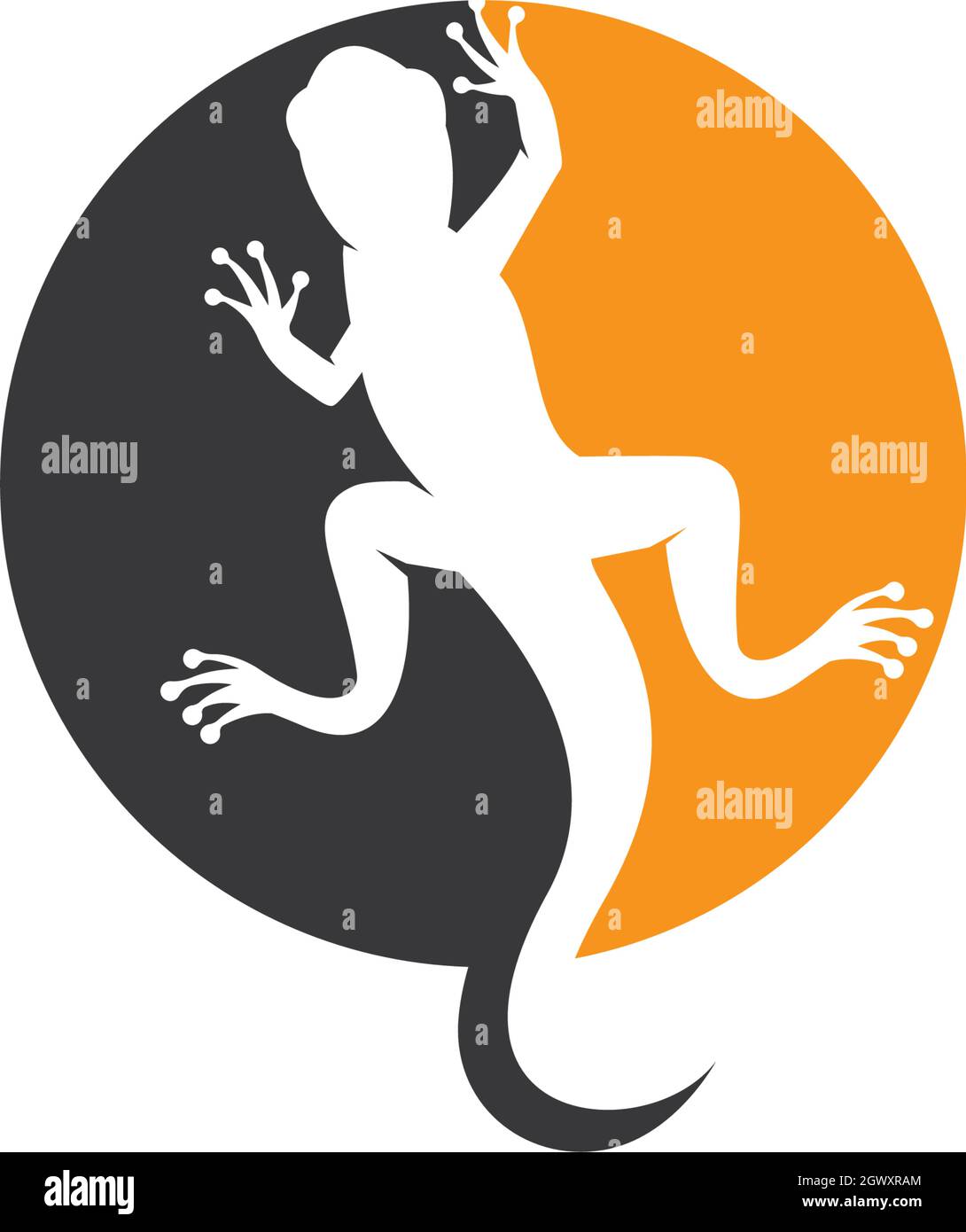 Gecko logo vector icon template Stock Vector Image & Art - Alamy