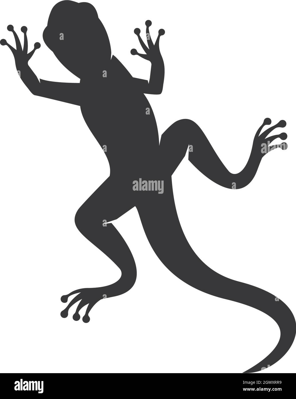 Gecko logo vector icon template Stock Vector Image & Art - Alamy