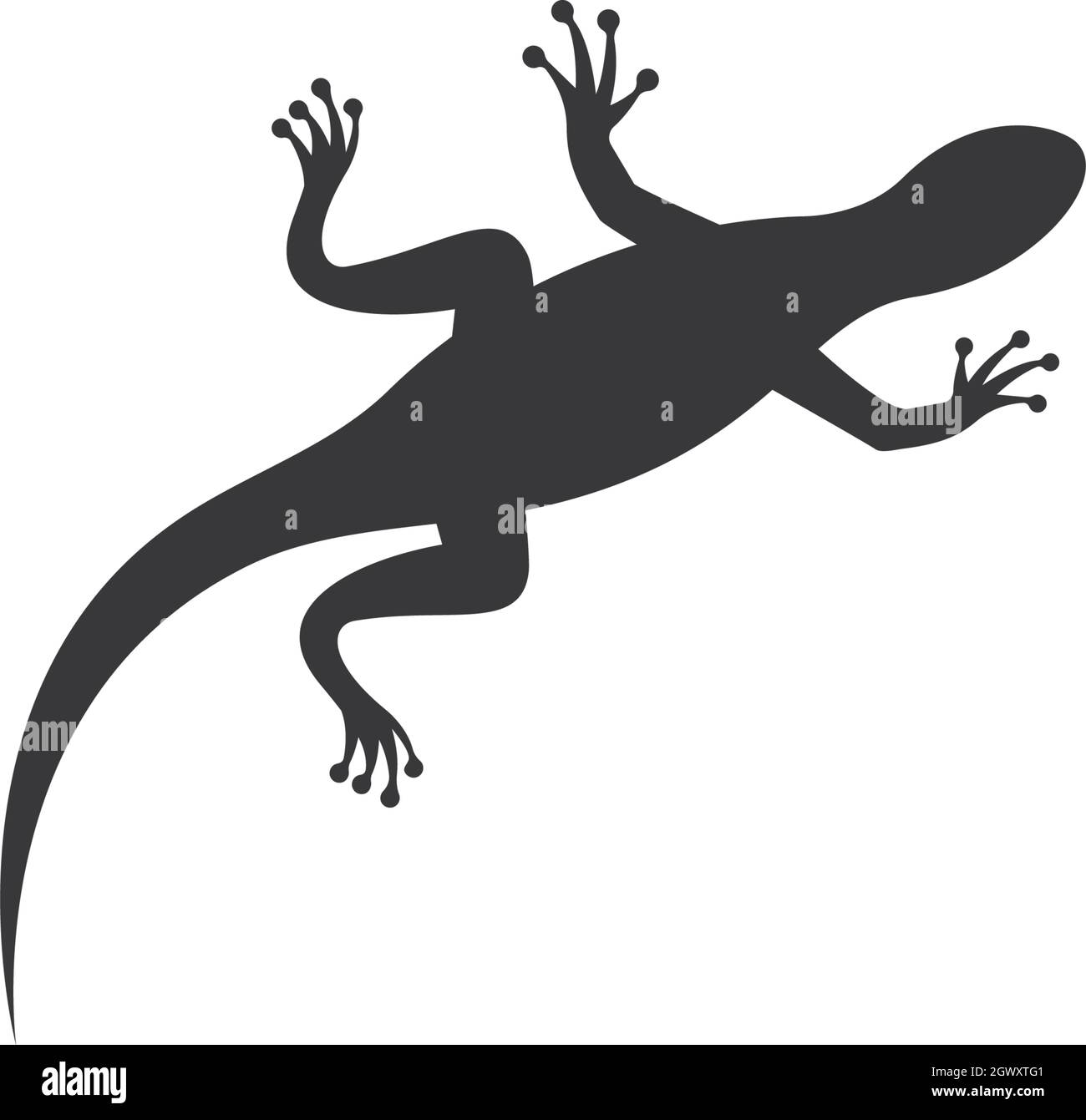 Gecko logo vector icon template Stock Vector Image & Art - Alamy