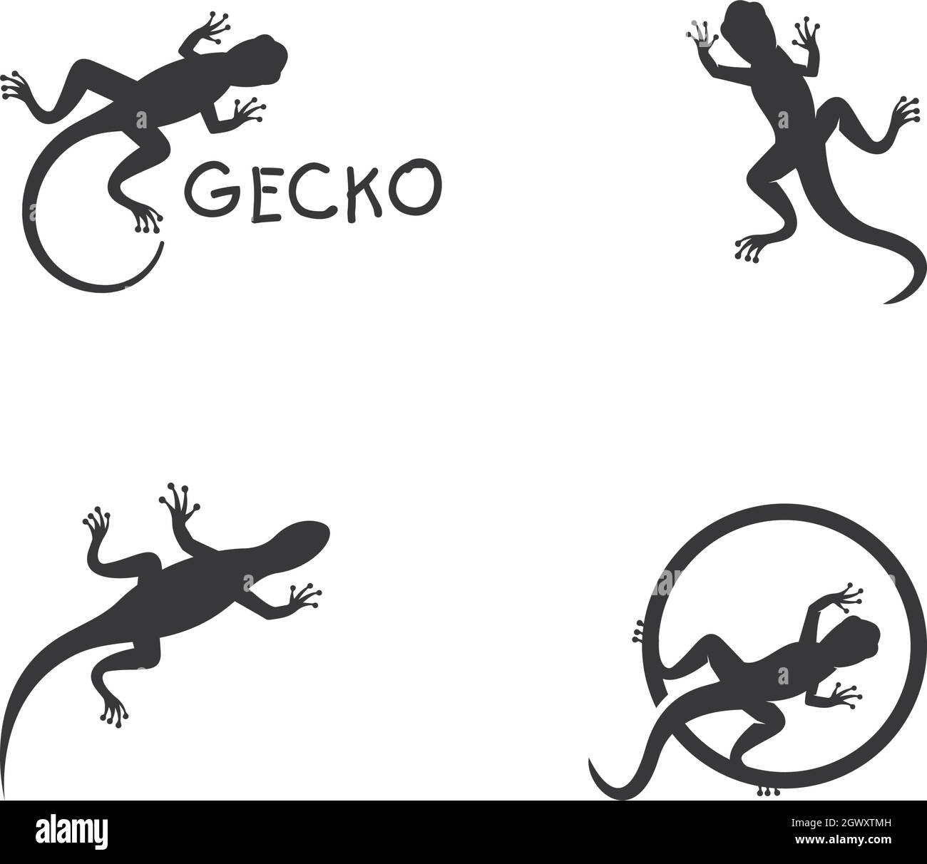Gecko logo vector icon template Stock Vector Image & Art - Alamy