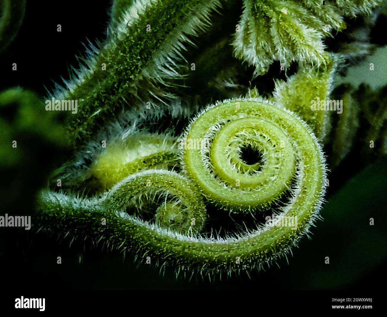 Ilagan hi-res stock photography and images - Alamy