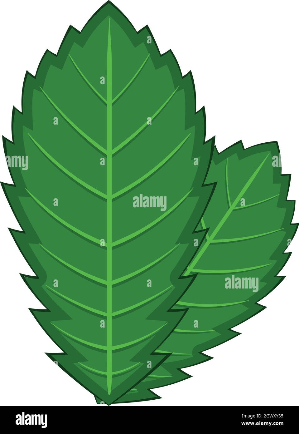 Elm leaf icon, cartoon style Stock Vector Image & Art - Alamy