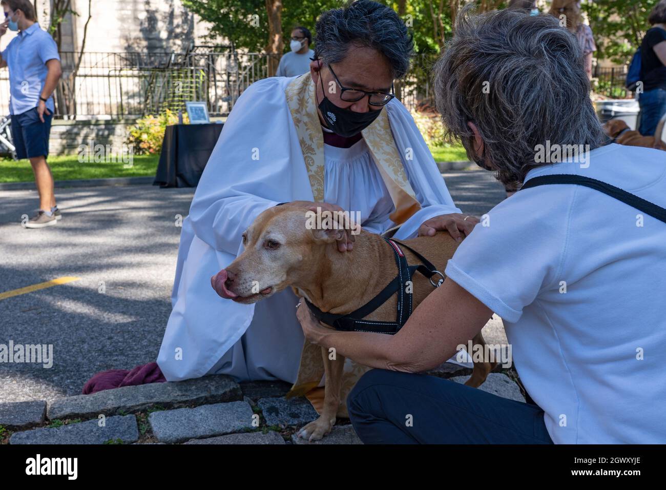 New York, United States. 03rd Oct, 2021. A priest blesses a dog during ...