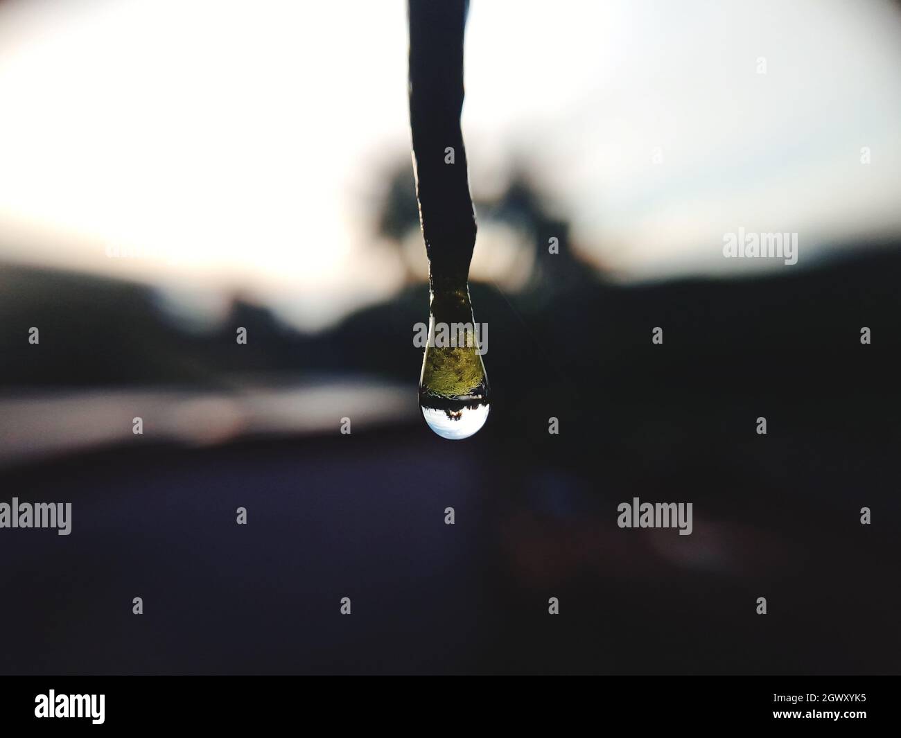 Negative image hi-res stock photography and images - Alamy