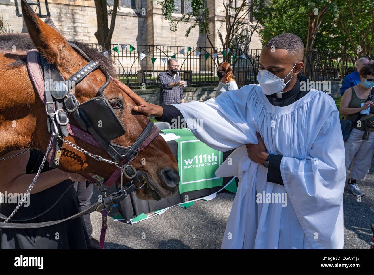A priest blesses a horse during the Blessing of the Animals at the ...