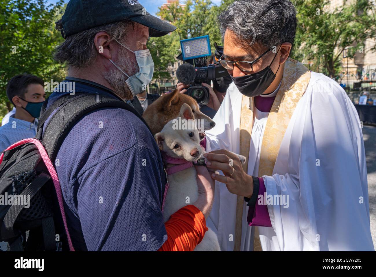 A priest blesses Mike's dogs Hanjin and Haru during the Blessing of the ...