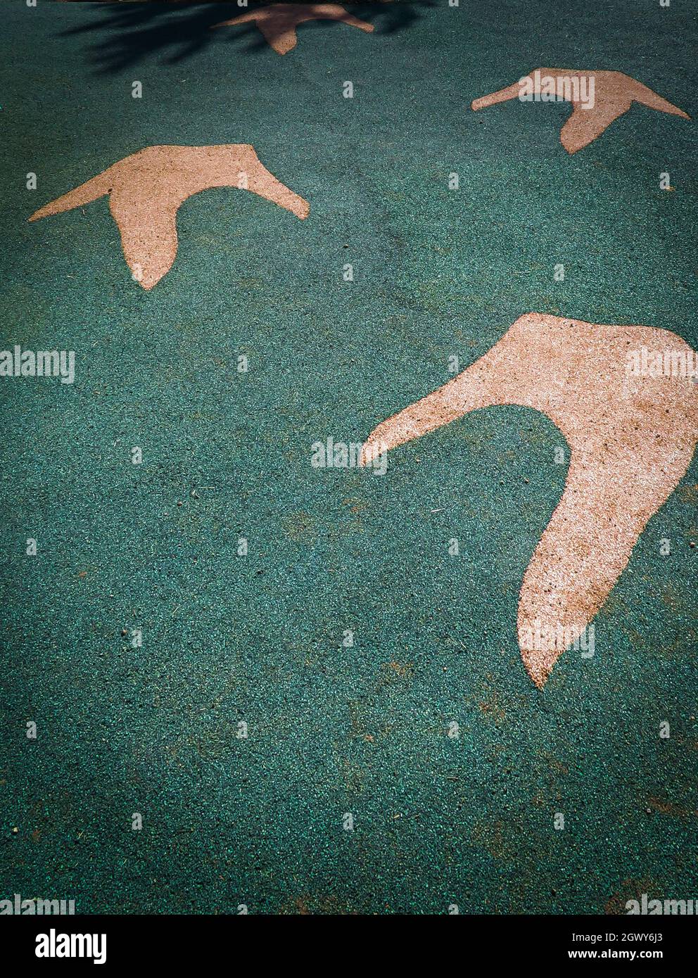 Tyrannosaurus rex footprint hi-res stock photography and images - Alamy