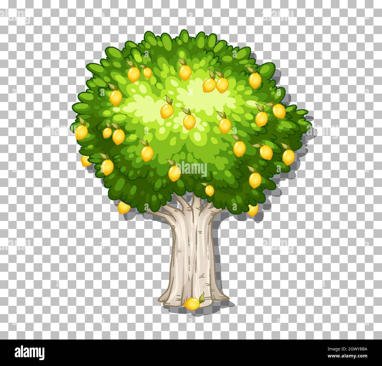 Lemon tree on transparent background illustration Stock Vector Image & Art - Alamy