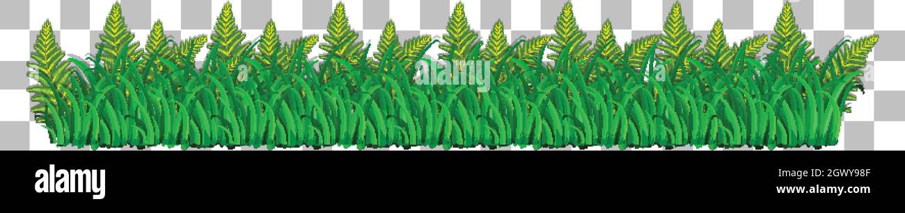 Grass and plants on transparent background for decor illustration Stock ...