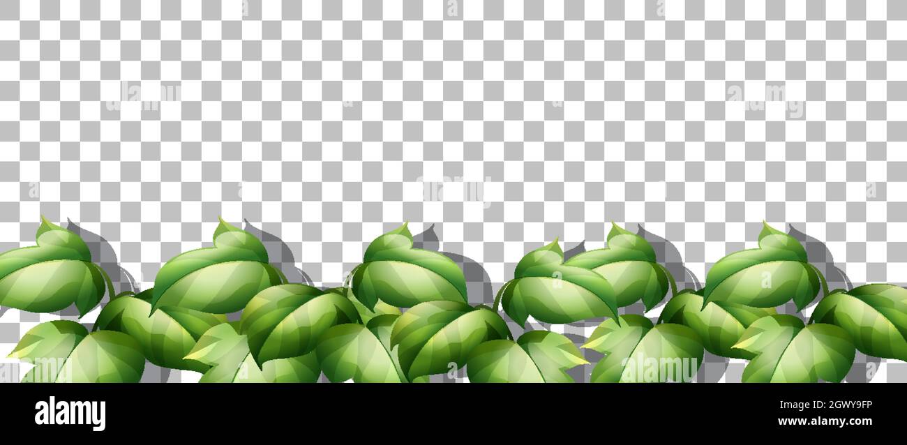 Nature plants frame transparent background illustration Stock Vector ...