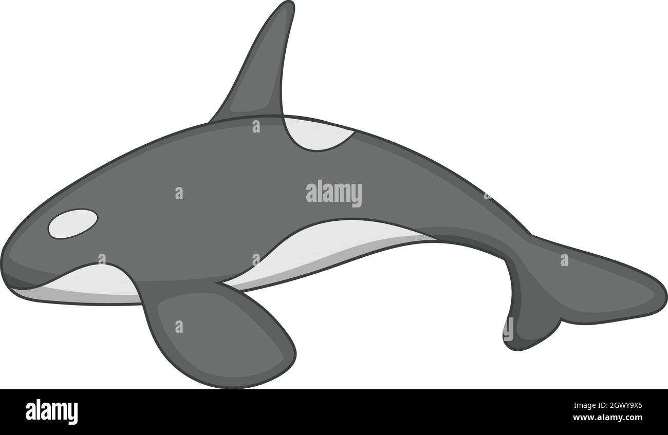 Killer Whale Side View