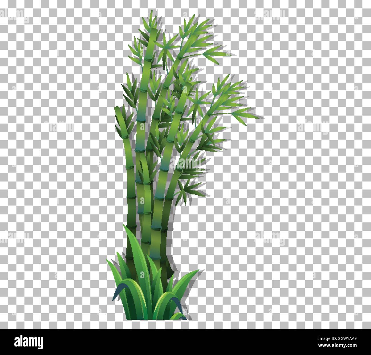 Bamboo tree on transparent background illustration Stock Vector Image ...