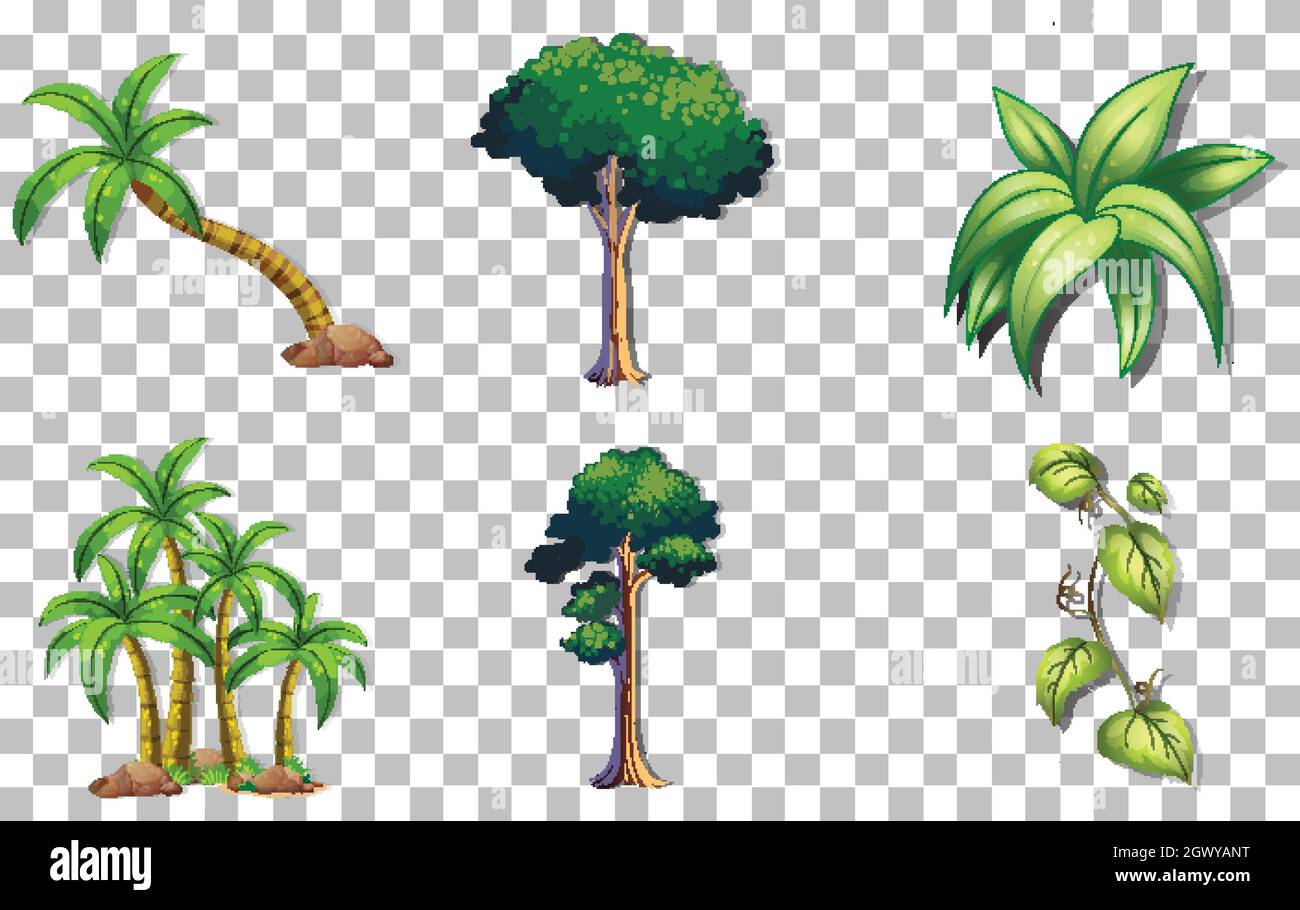 Set of variety trees on transparent background illustration Stock ...