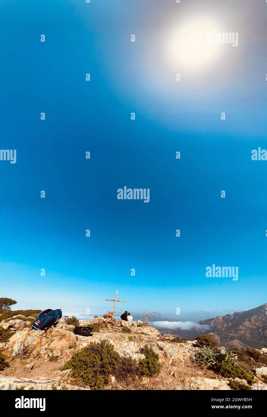 Porcu hi-res stock photography and images - Alamy