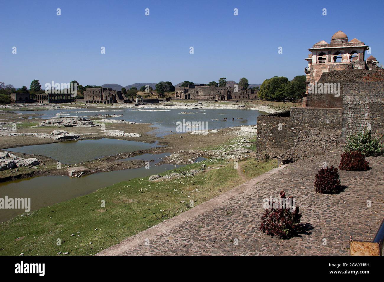 Munja tank hi-res stock photography and images - Alamy