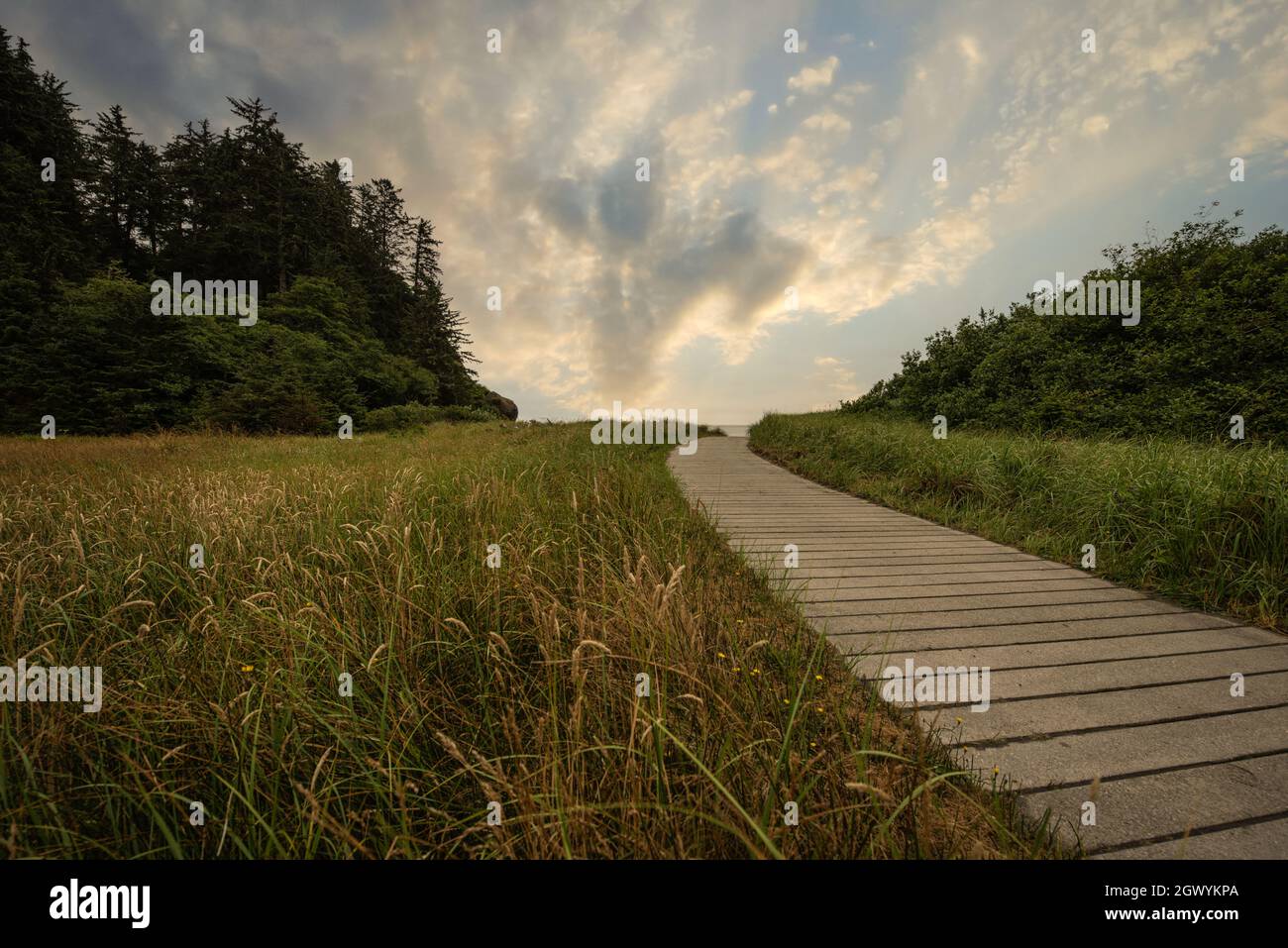 Walk way boardwalk path nature hi-res stock photography and images - Alamy
