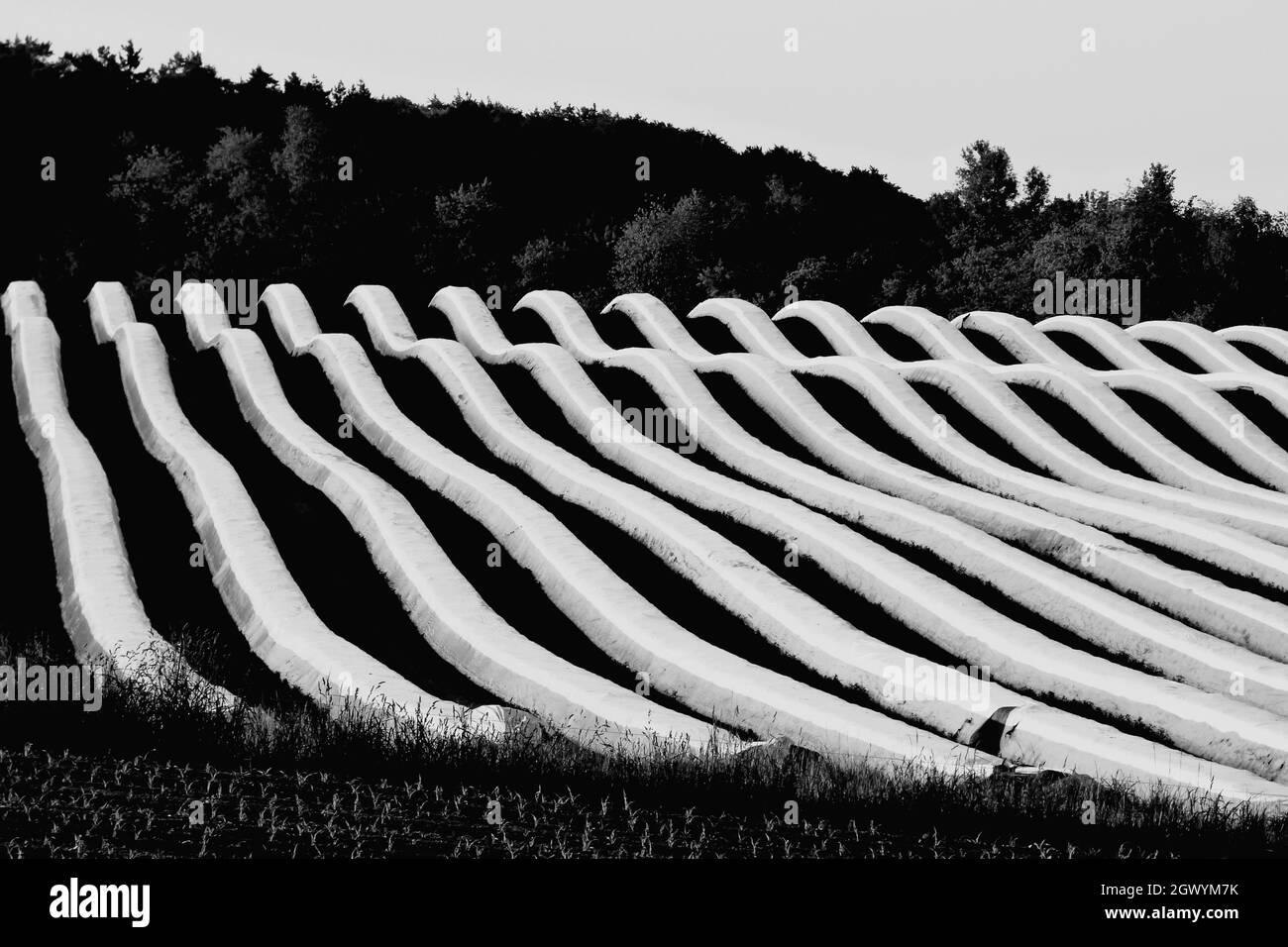 Agriculture and the environment Black and White Stock Photos & Images ...