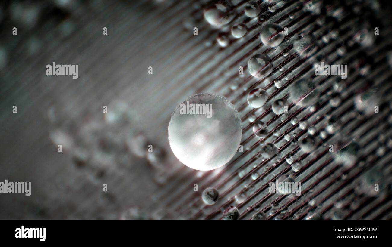 Stardust silver hi-res stock photography and images - Alamy