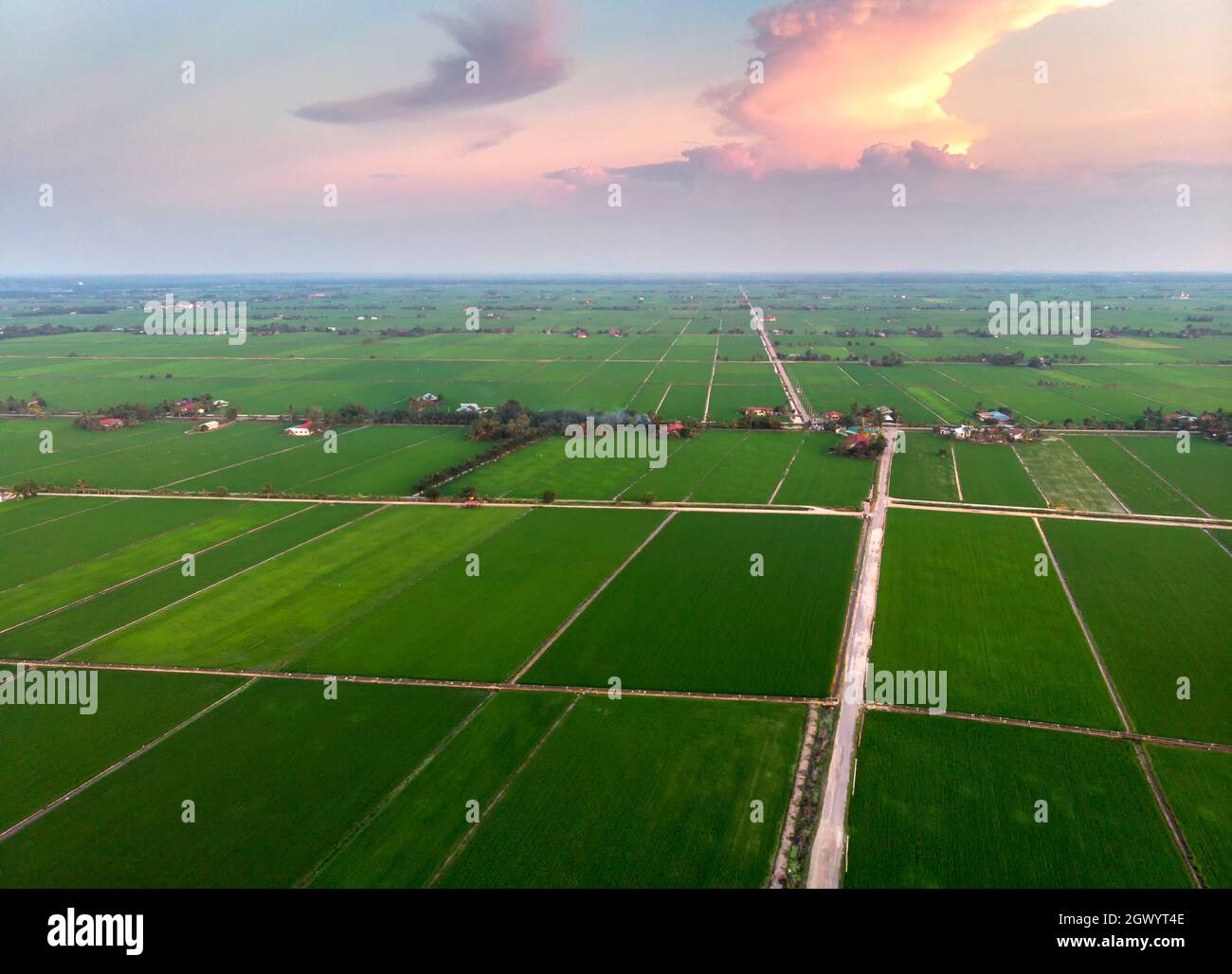 Beautiful sunset sekinchan paddy field hi-res stock photography and ...