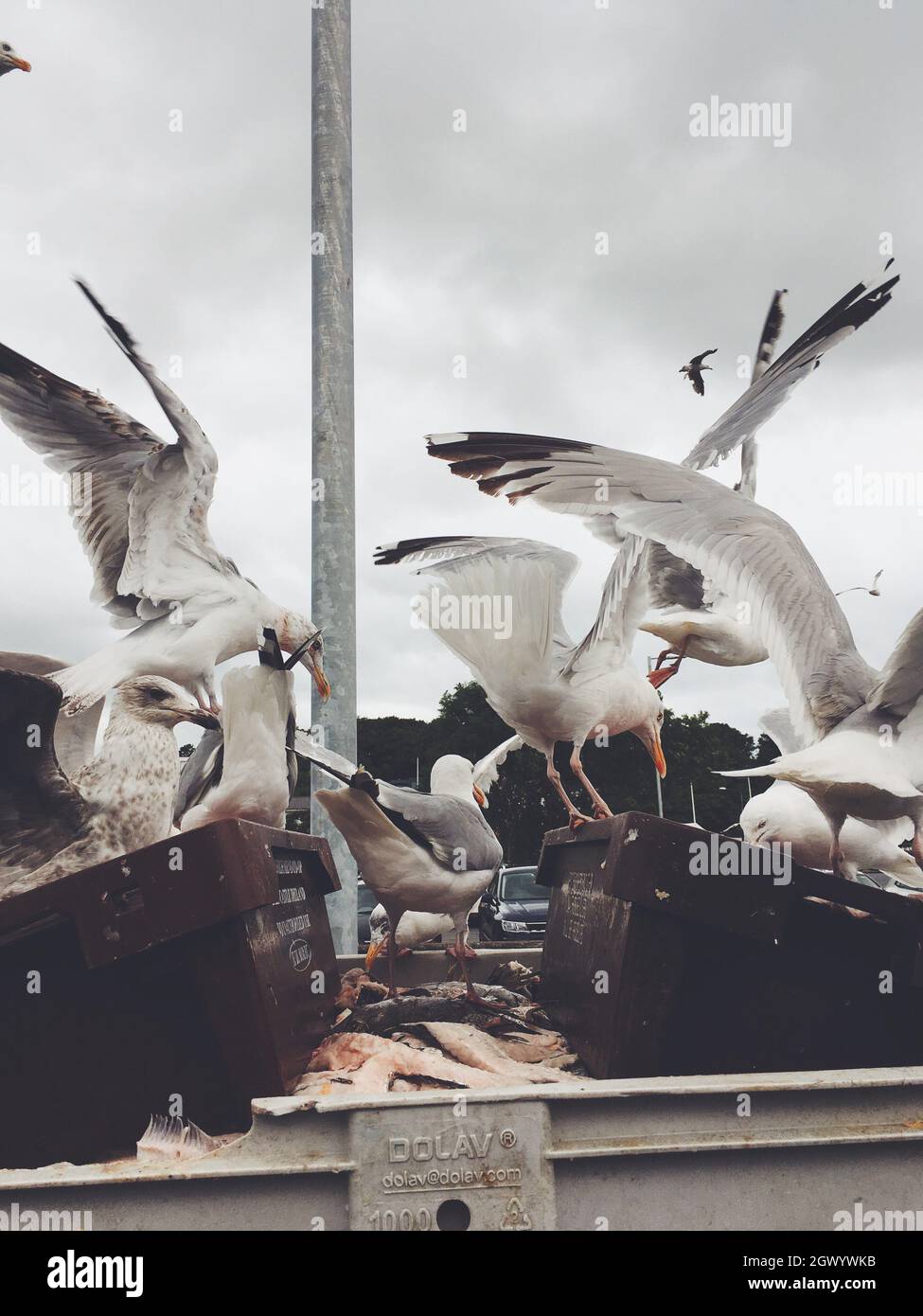 Group of people eating fish and chips hi-res stock photography and ...