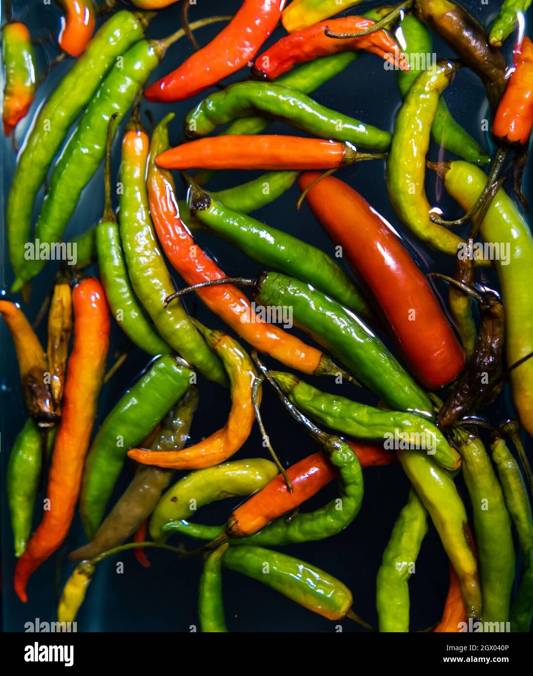 Colorful thin and fresh chili peppers floating on water Stock Photo - Alamy