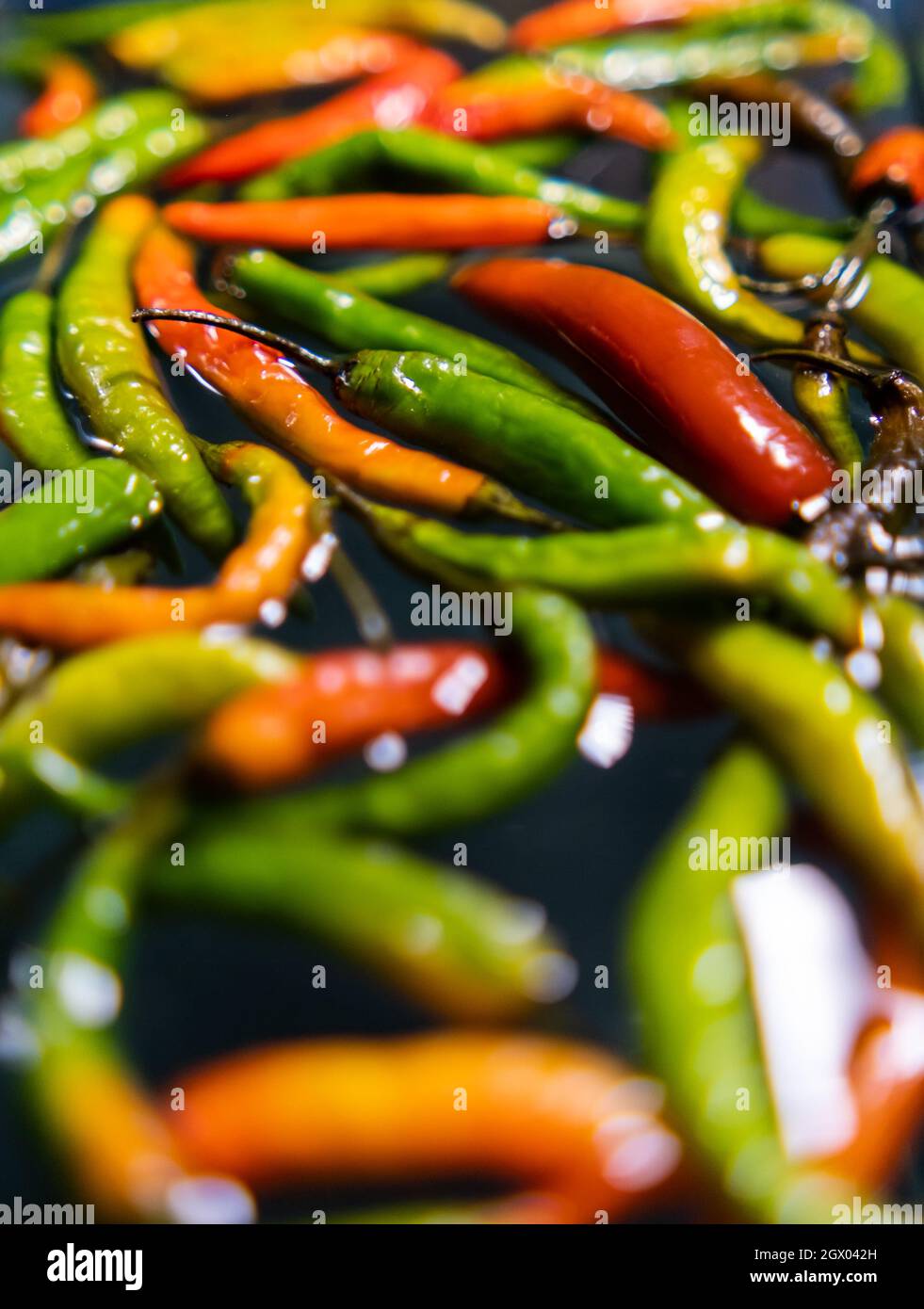 Colorful thin and fresh chili peppers floating on water Stock Photo - Alamy