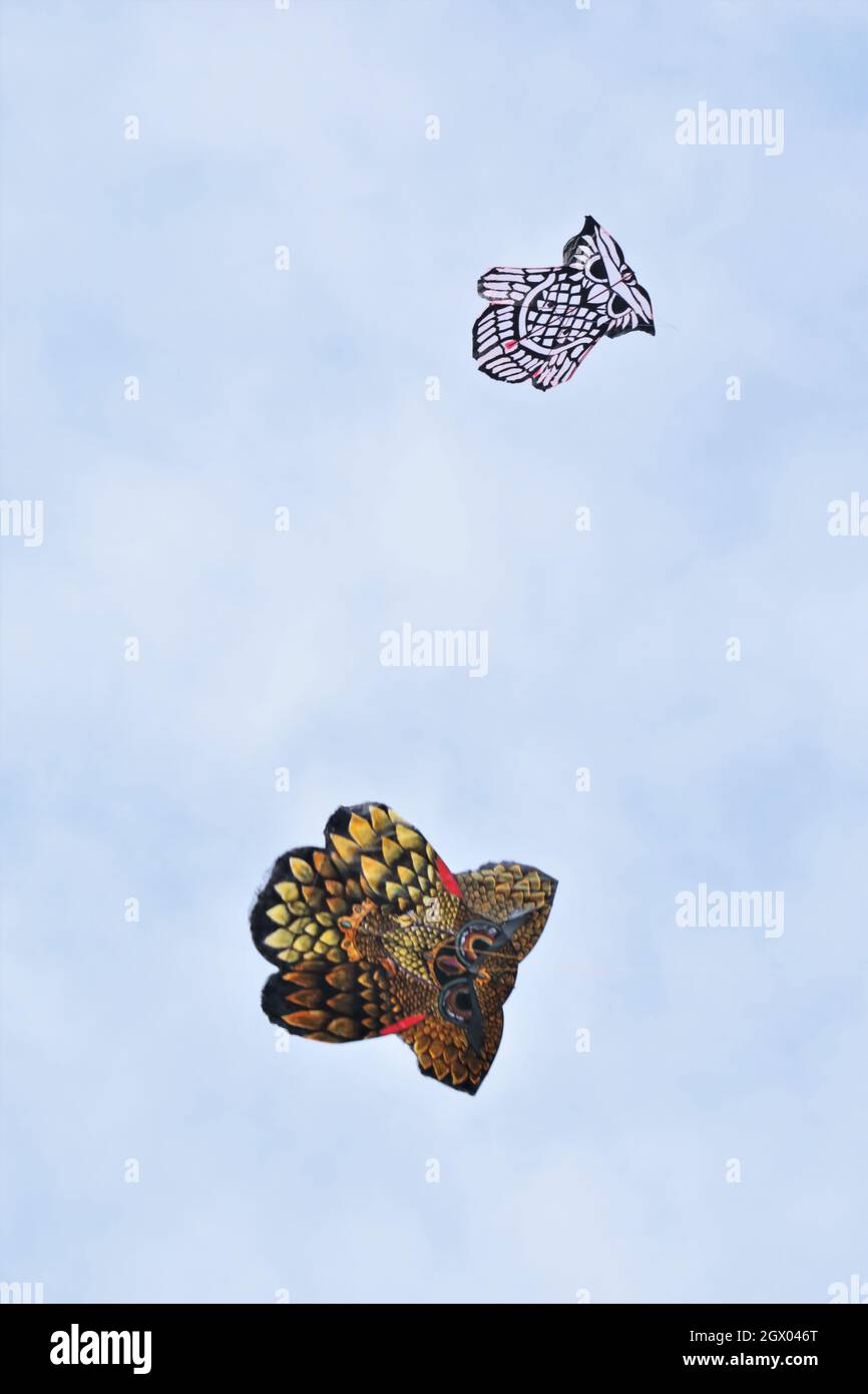 Low angle view of kites flying at kite festival hi-res stock ...