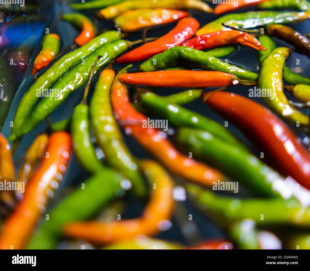 Colorful thin and fresh chili peppers floating on water Stock Photo - Alamy