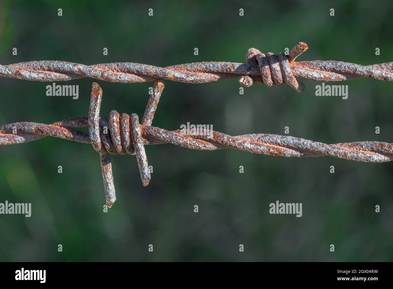 Wire rope barrier hi-res stock photography and images - Alamy