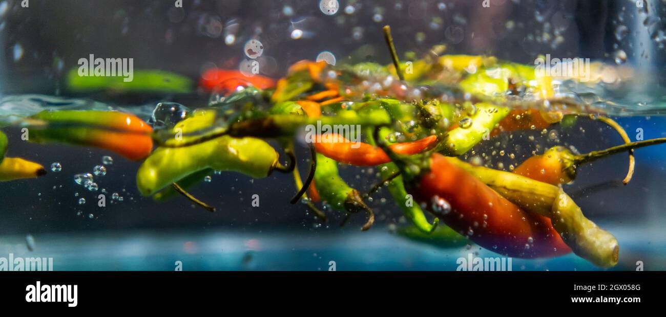 Multicolor fresh chili peppers falling hi-res stock photography and ...