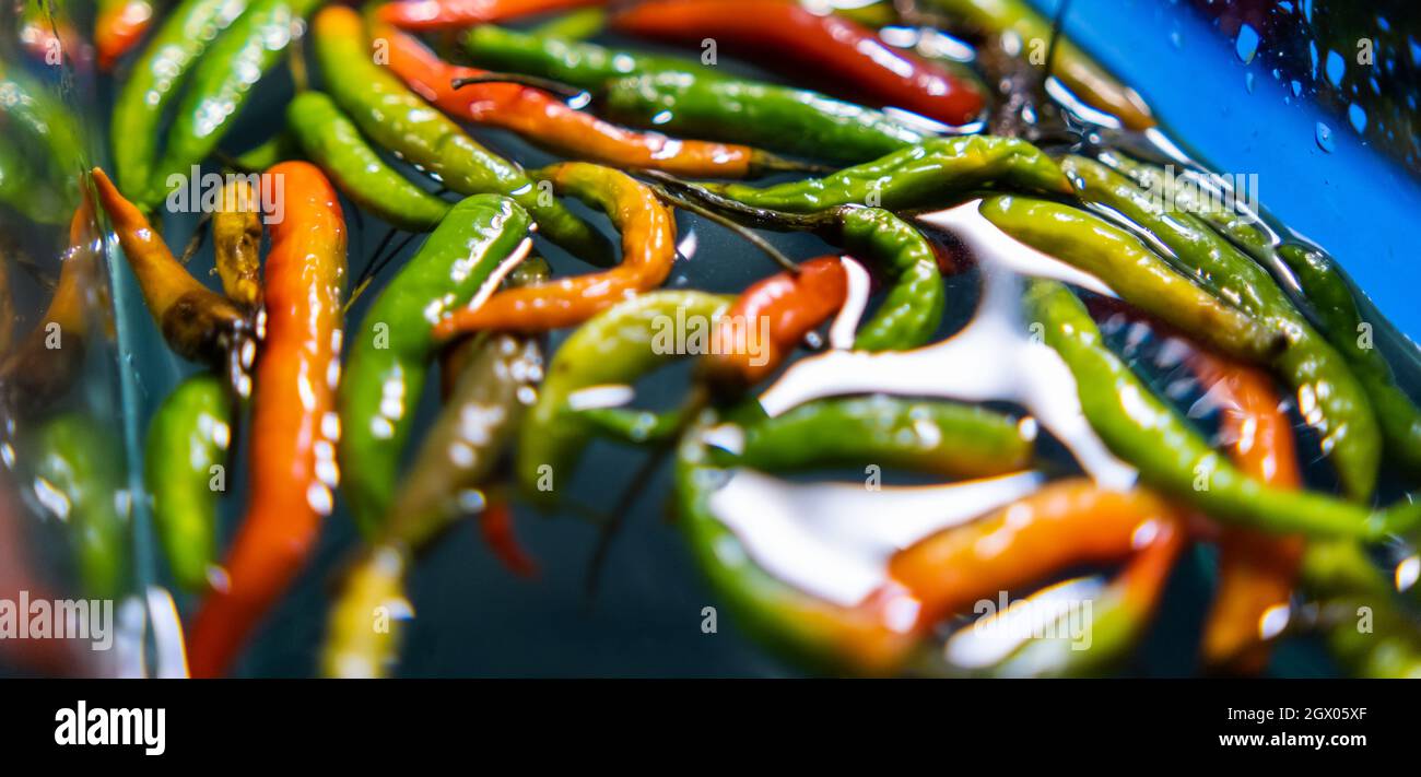 Colorful thin and fresh chili peppers floating on water Stock Photo - Alamy