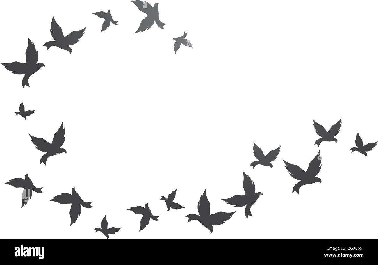 Bird background Template vector illustration Stock Vector Image & Art ...