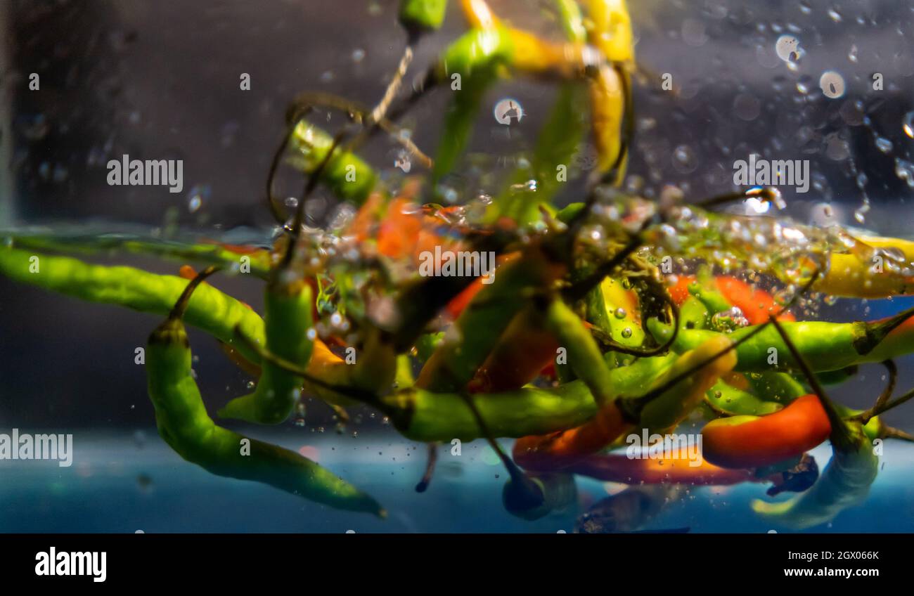 Multicolor fresh chili peppers falling hi-res stock photography and ...