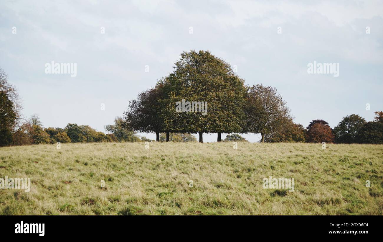 Triangular field hi-res stock photography and images - Alamy