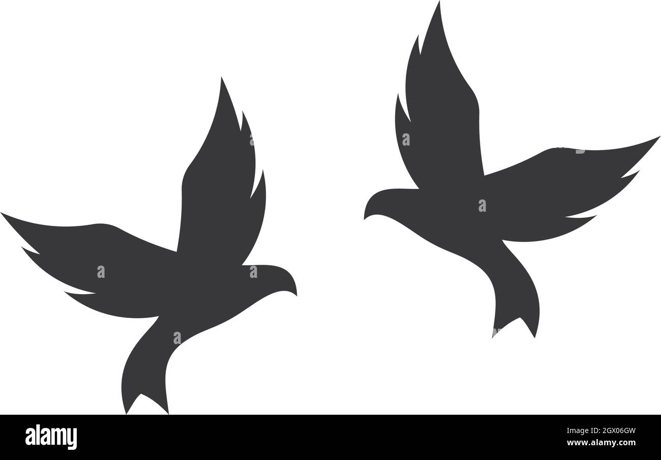 Two Flying Birds Logo