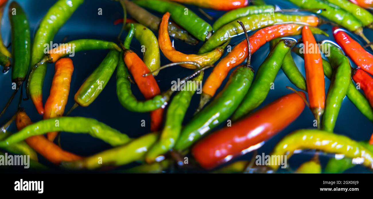 Colorful thin and fresh chili peppers floating on water Stock Photo - Alamy