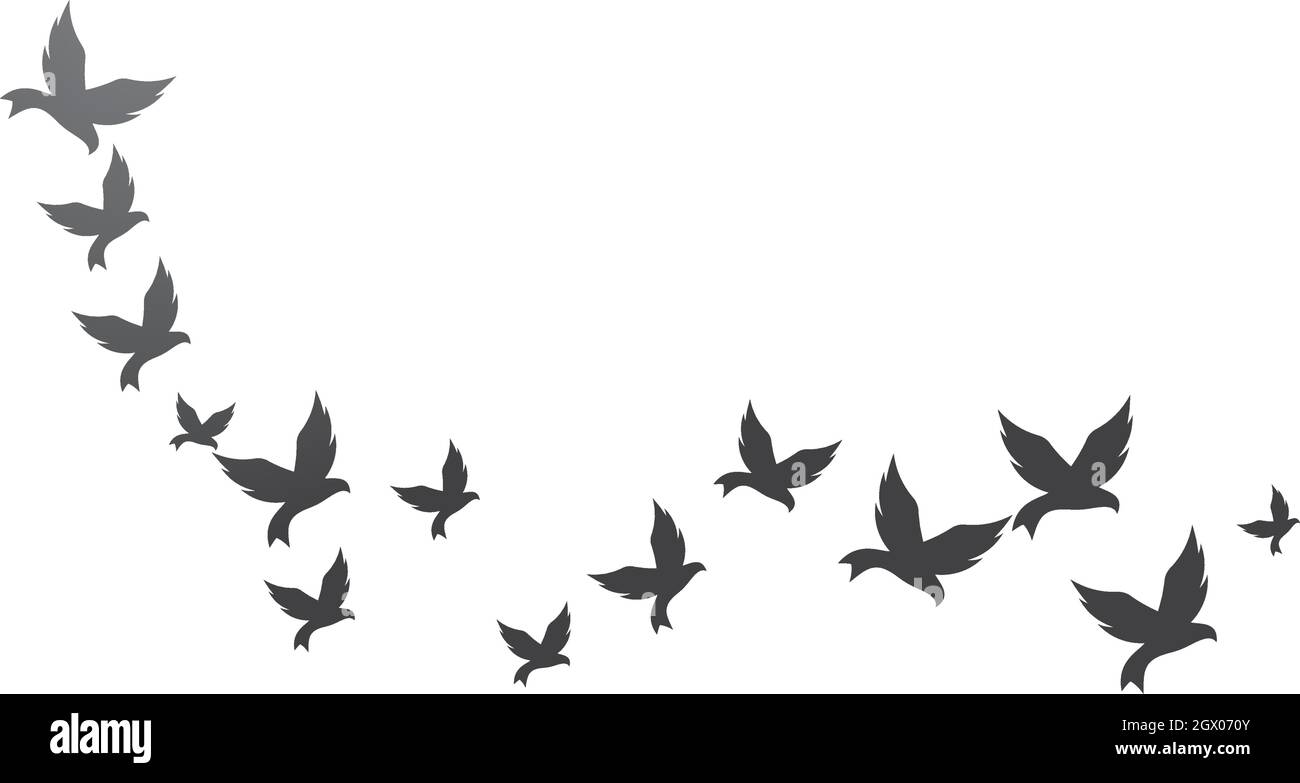 Bird background Template vector illustration Stock Vector Image & Art ...
