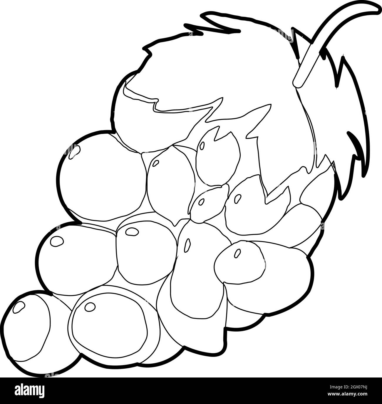 Grape bunch thin line Stock Vector Images - Alamy