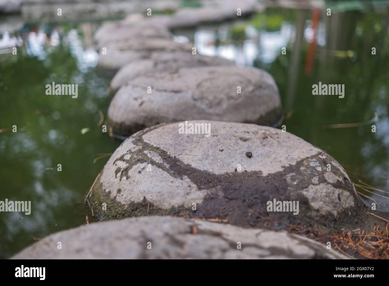 Stepping stones path on pond with greenish water Stock Photo - Alamy