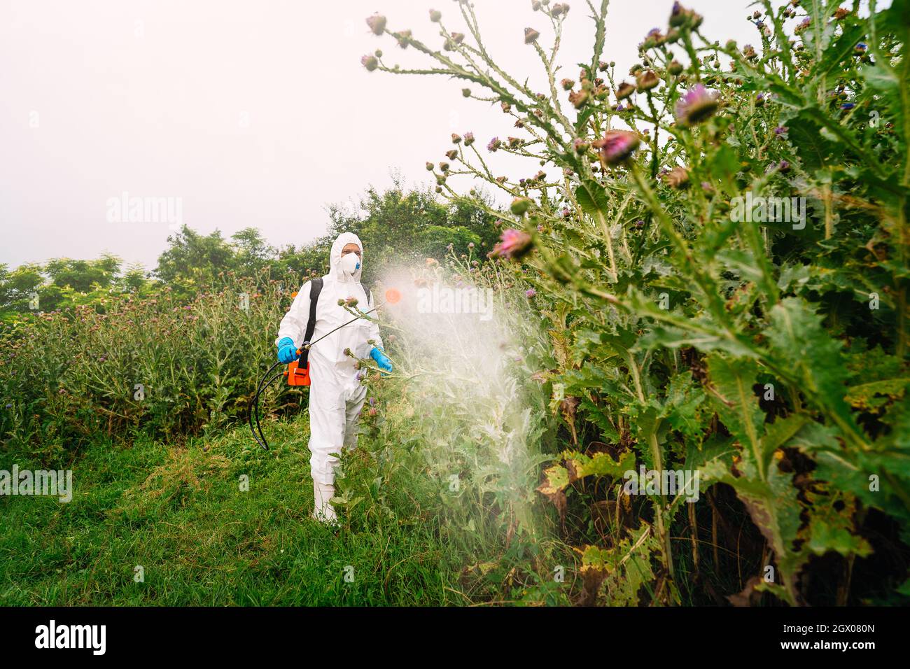 Herbicide people mask hi-res stock photography and images - Alamy