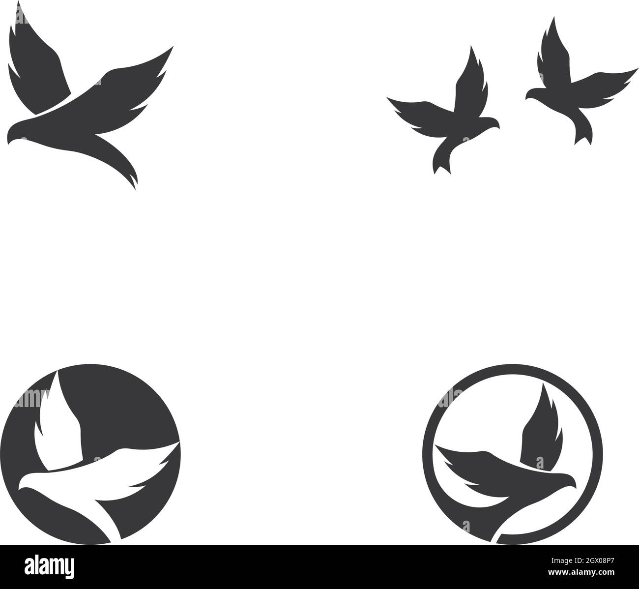 Bird Logo Template vector illustration Stock Vector Image & Art - Alamy