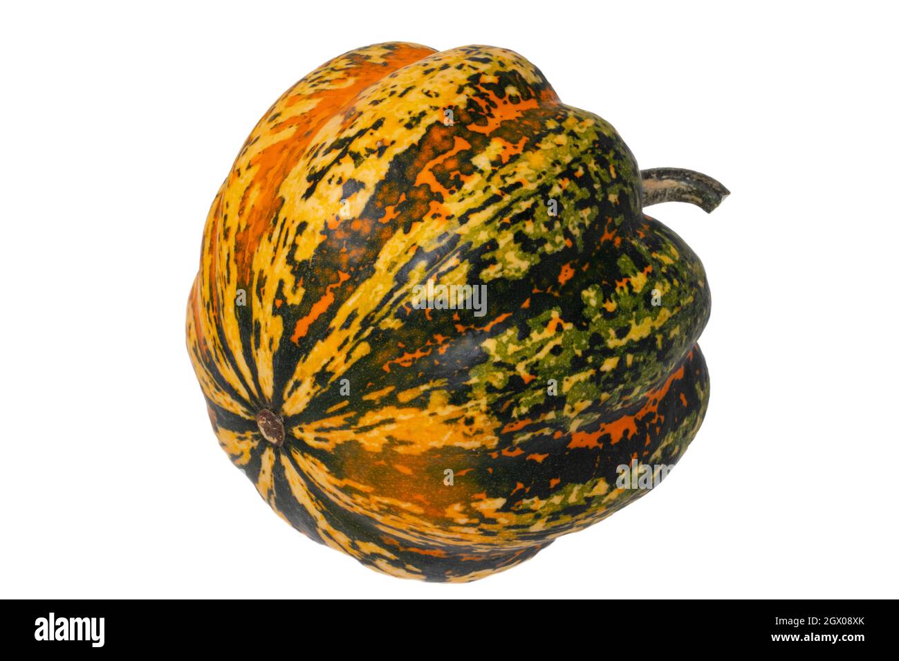 Giant pumpkin close up hi-res stock photography and images - Alamy
