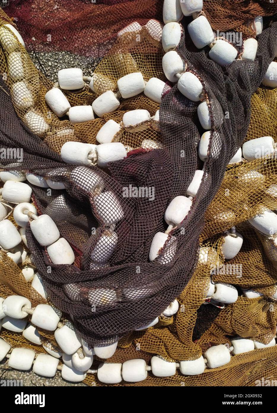 Marine animal tangled plastic hi-res stock photography and images - Alamy