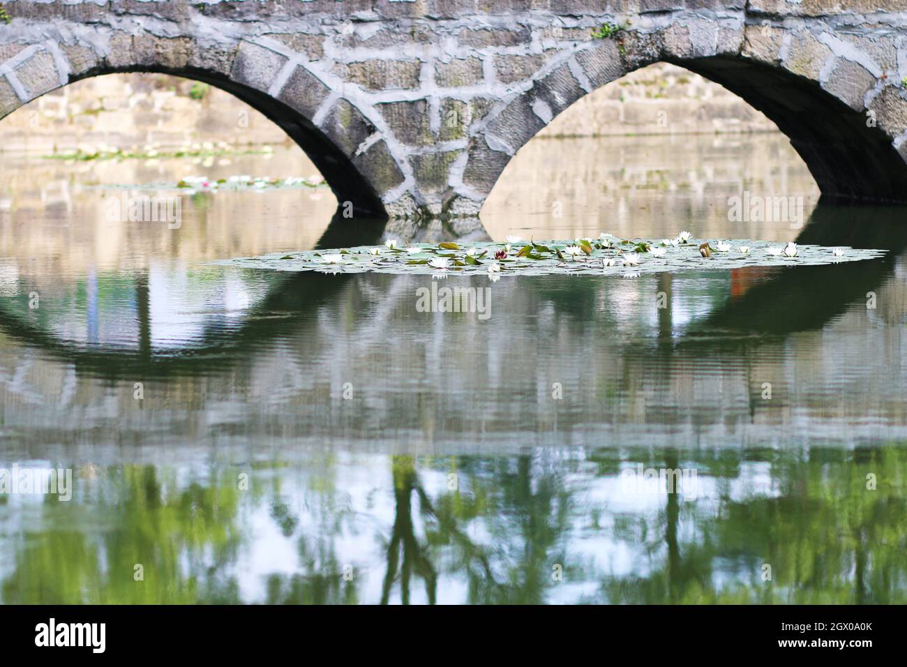 Chinese bridge structure hi-res stock photography and images - Alamy