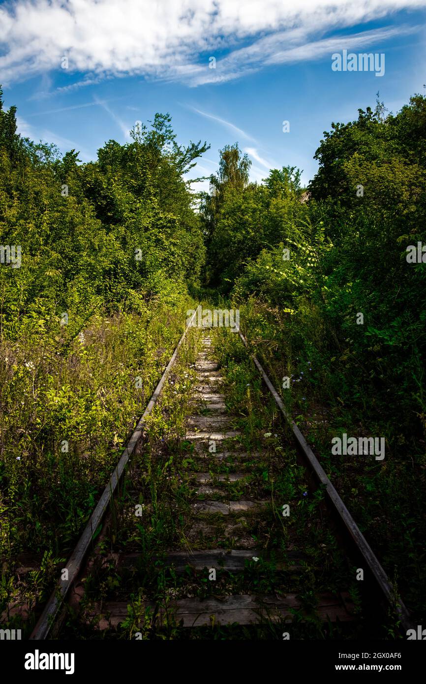 A line of an abandoned railroad overgrown with trees, bushes and grass ...