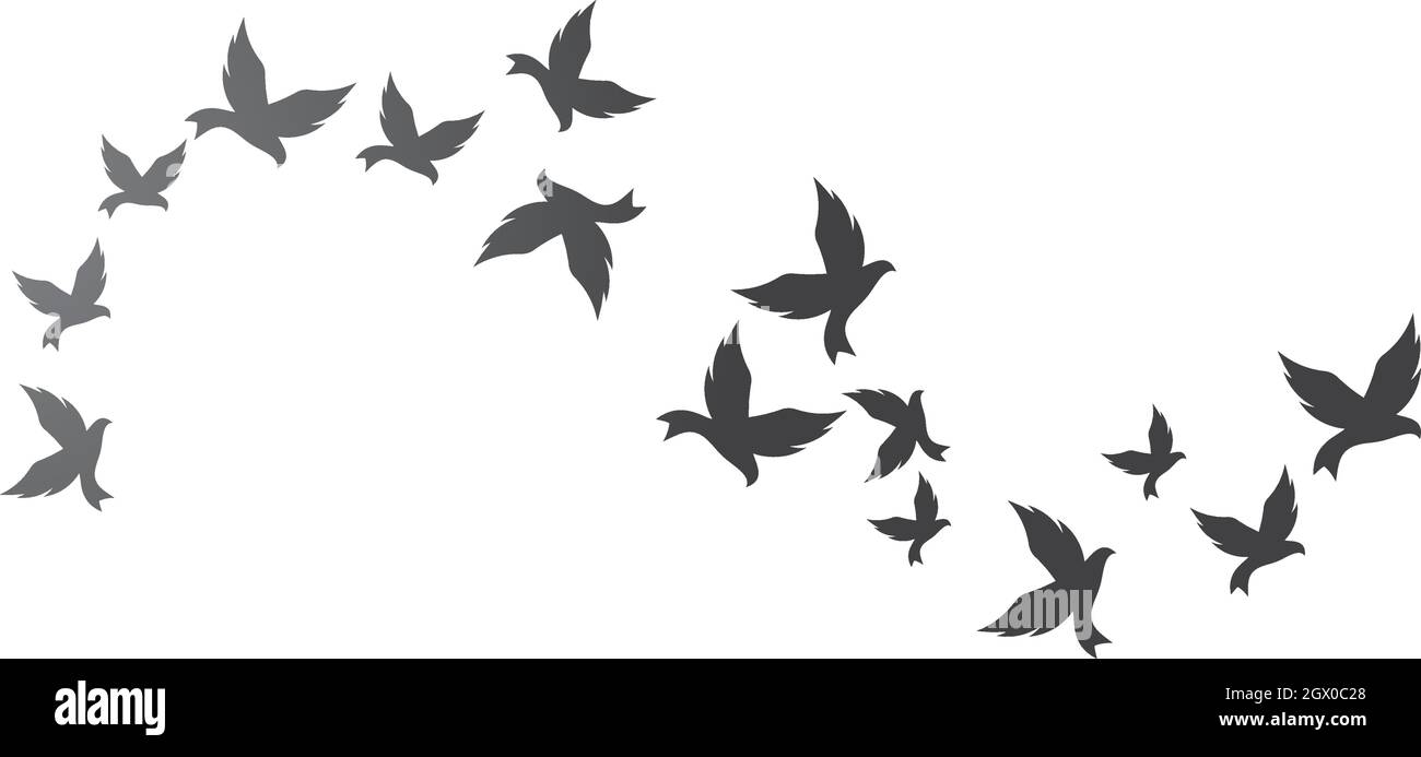 Bird background Template vector illustration Stock Vector Image & Art ...