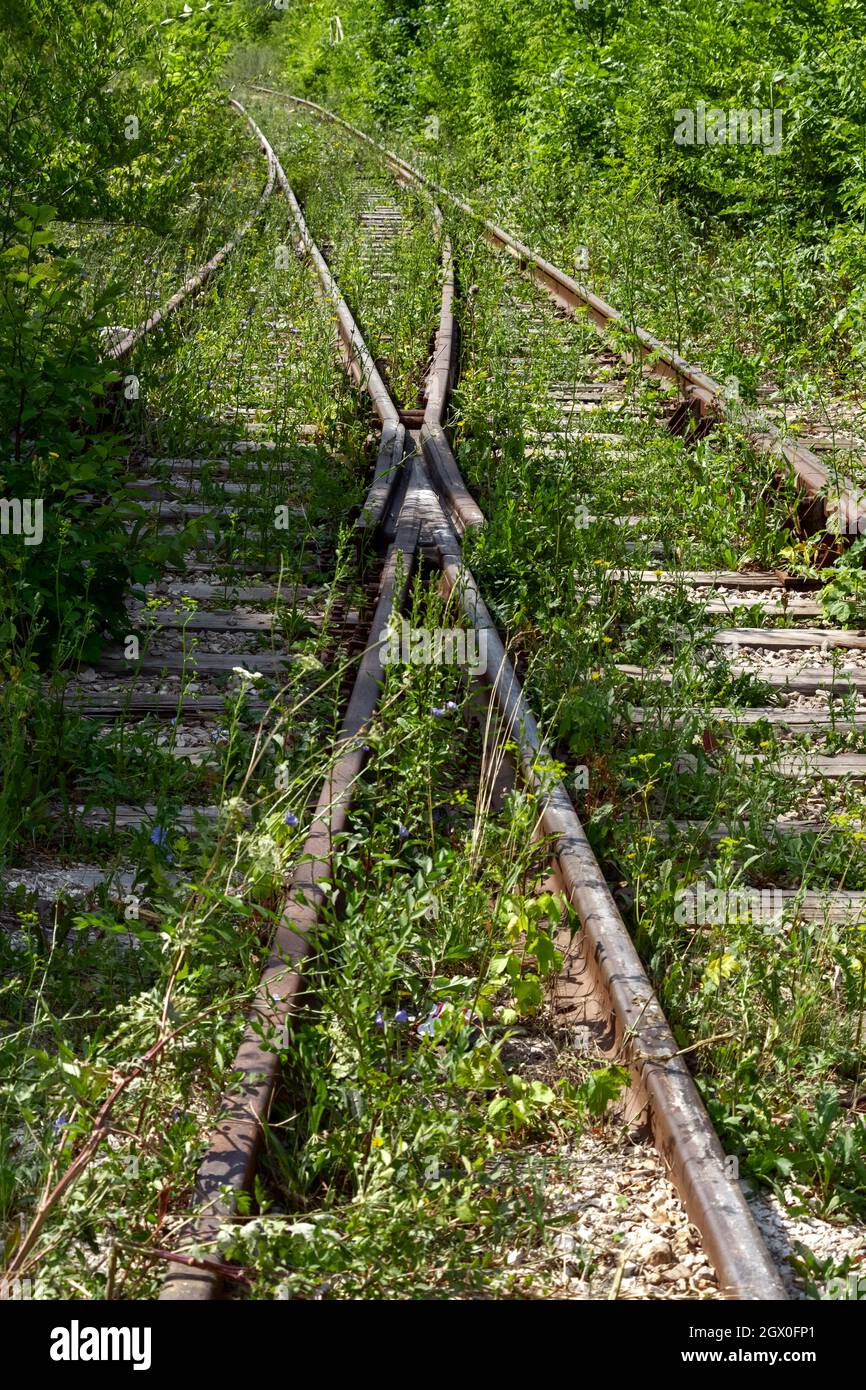 A line of an abandoned railroad overgrown with trees, bushes and grass ...