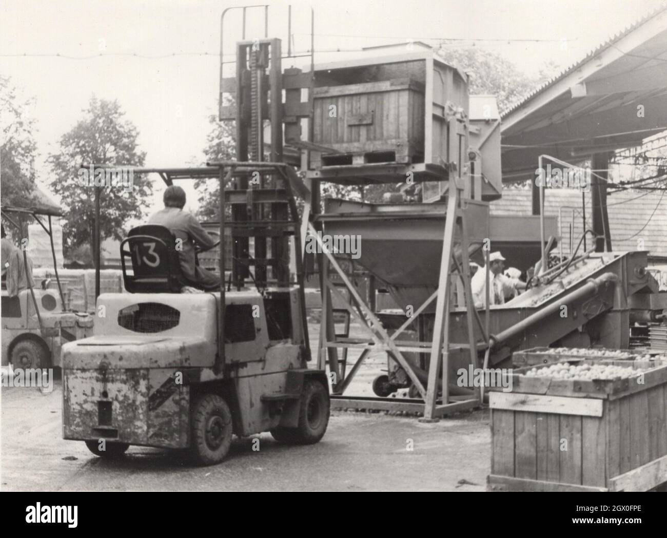 rare retro photograph about a fruit factory. The forklift is lifting a ...