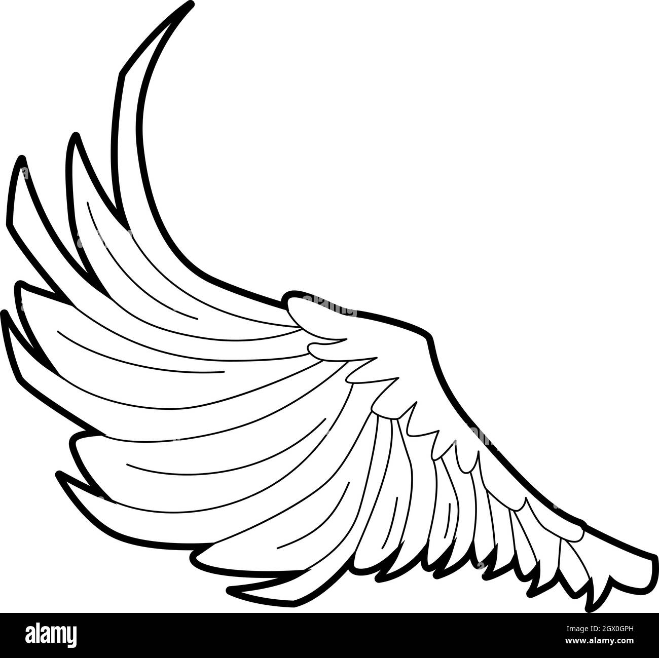 Big wing Black and White Stock Photos & Images - Alamy